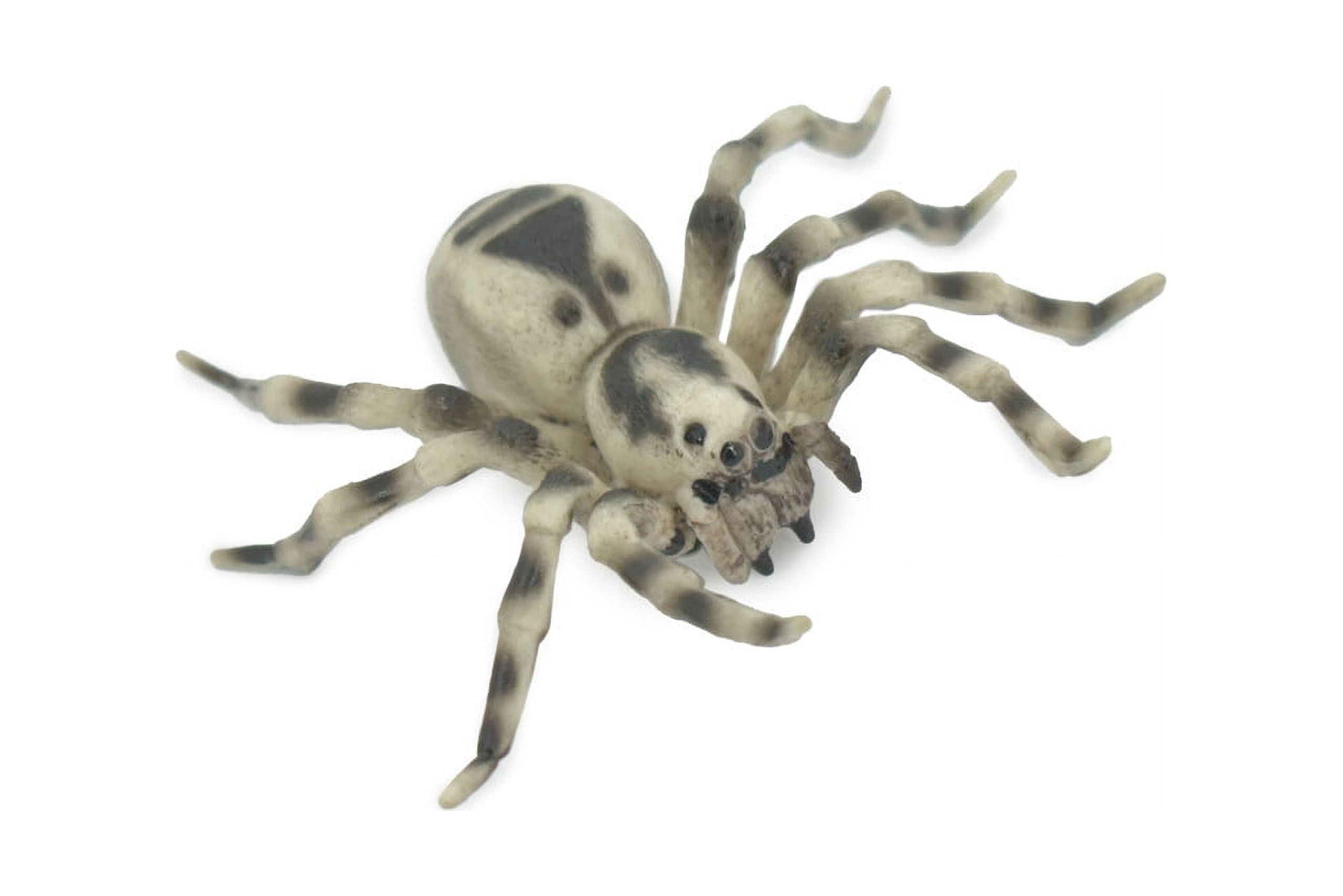 Spider, Wolf, Arachnids, Museum Quality, Hand Painted, Rubber Insect ...