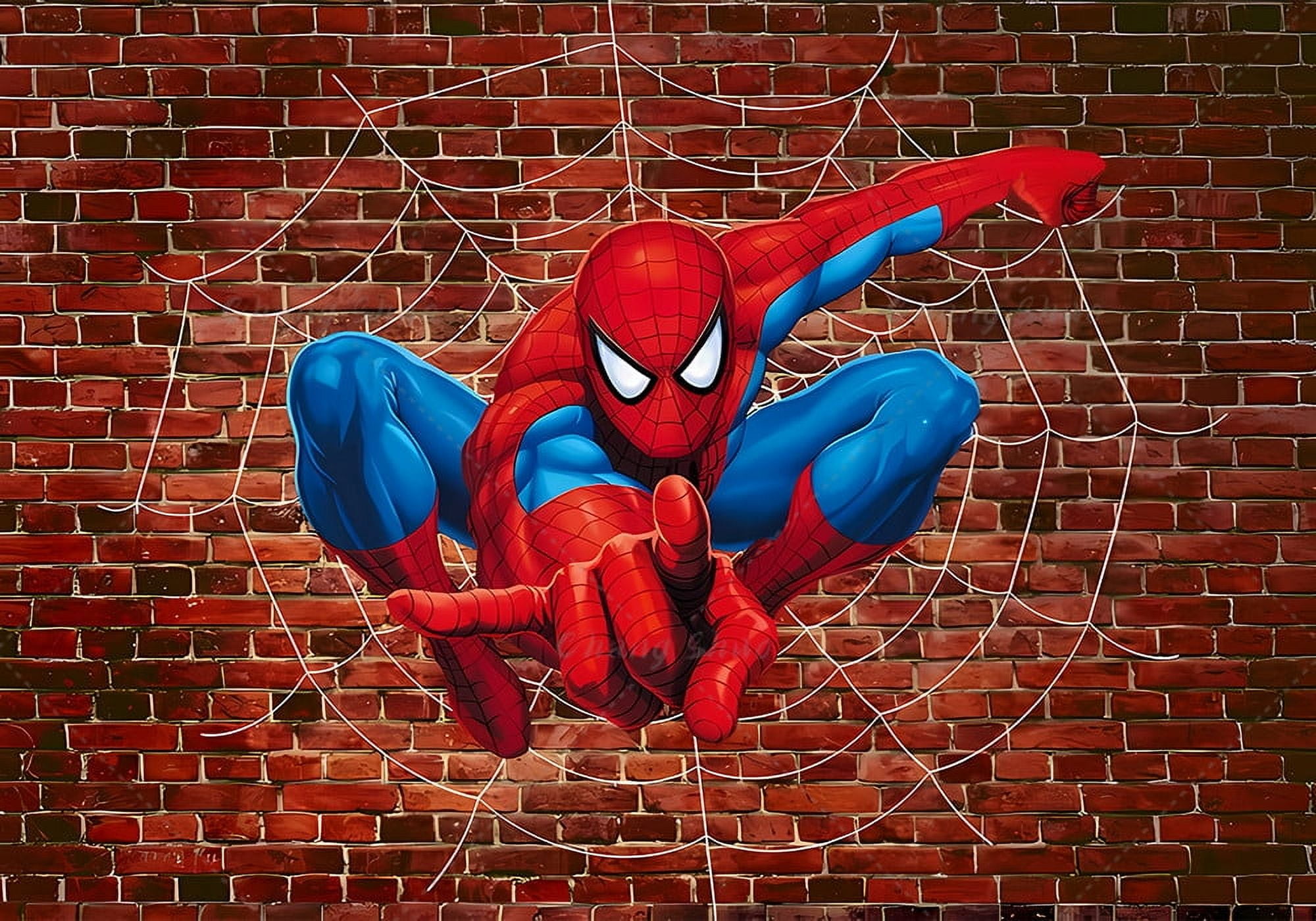 Spiderman Theme Baby Boys Birthday Party Decorations Photography ...