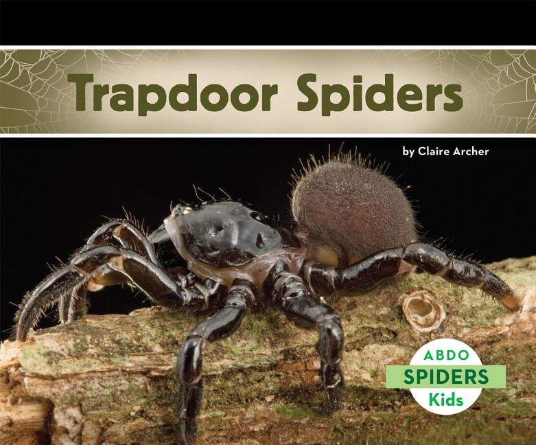Spiders (Abdo Kids): Trapdoor Spiders (Hardcover) - Walmart.com