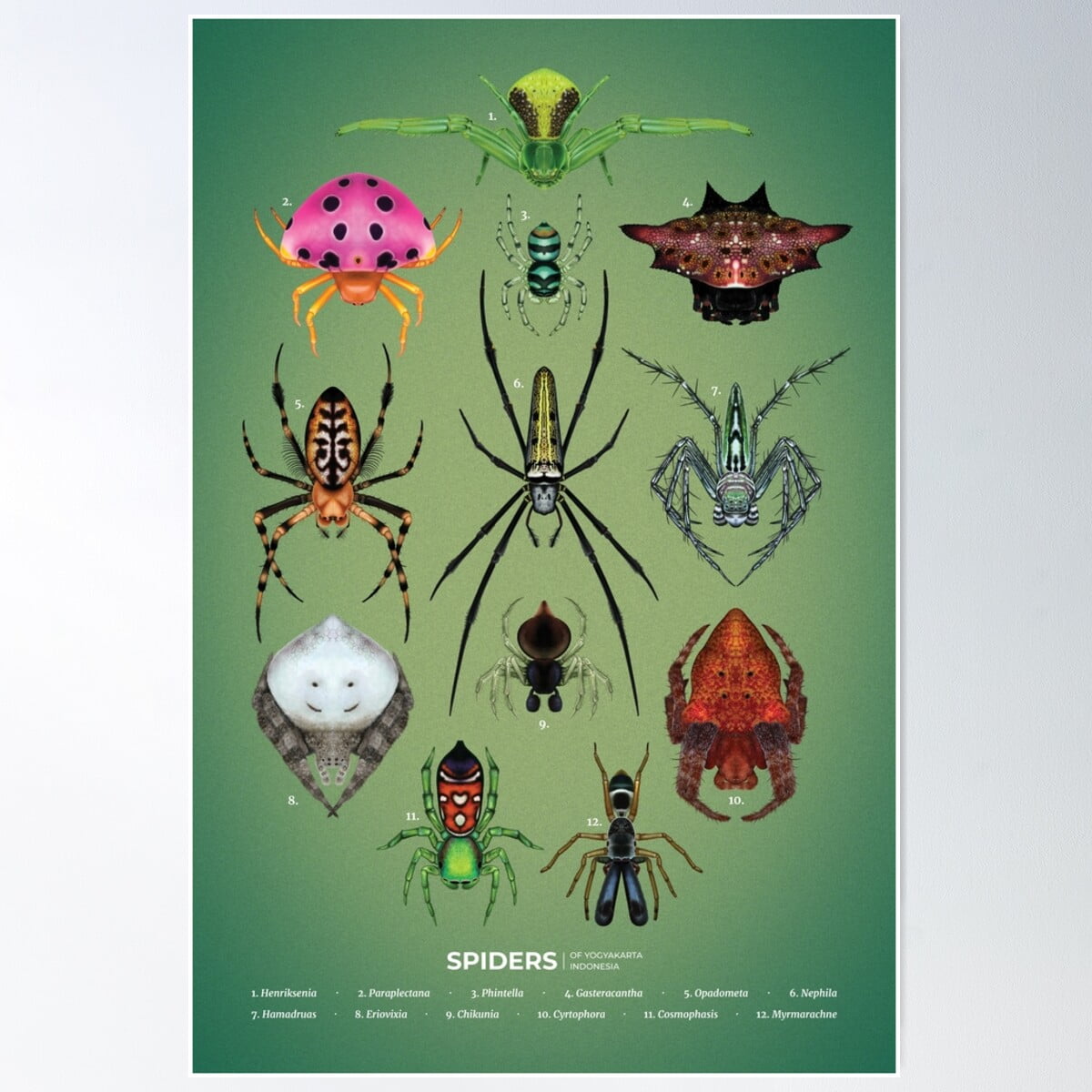 Spiders Plate Poster Wall Art, Modern Wall Decor For Living Room ...