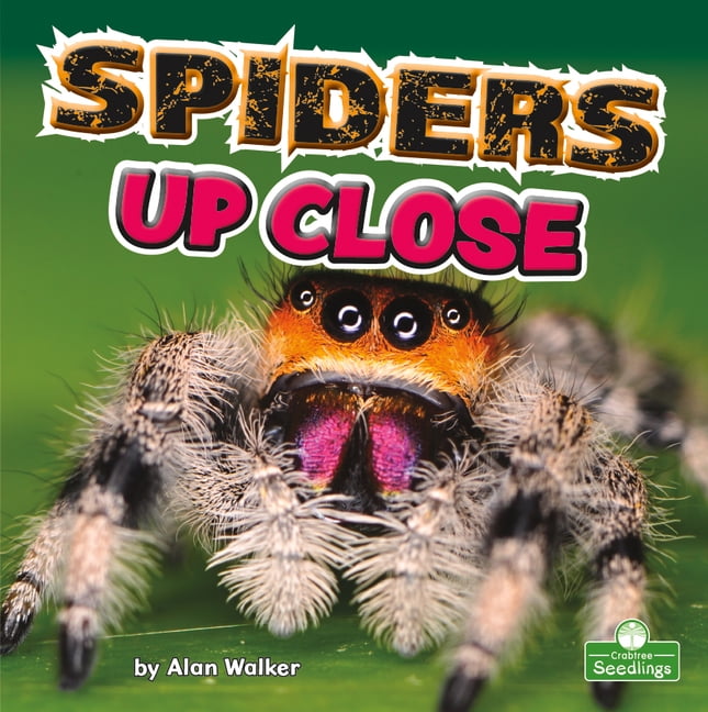 Spiders Up Close, (Hardcover) - Walmart.com