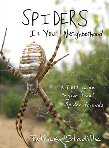 Pre-Owned Spiders in Your Neighborhood: A Field Guide to Your Local ...