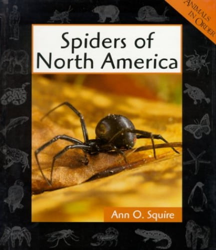 Pre-Owned Spiders of North America (Library Binding) 053111516X ...