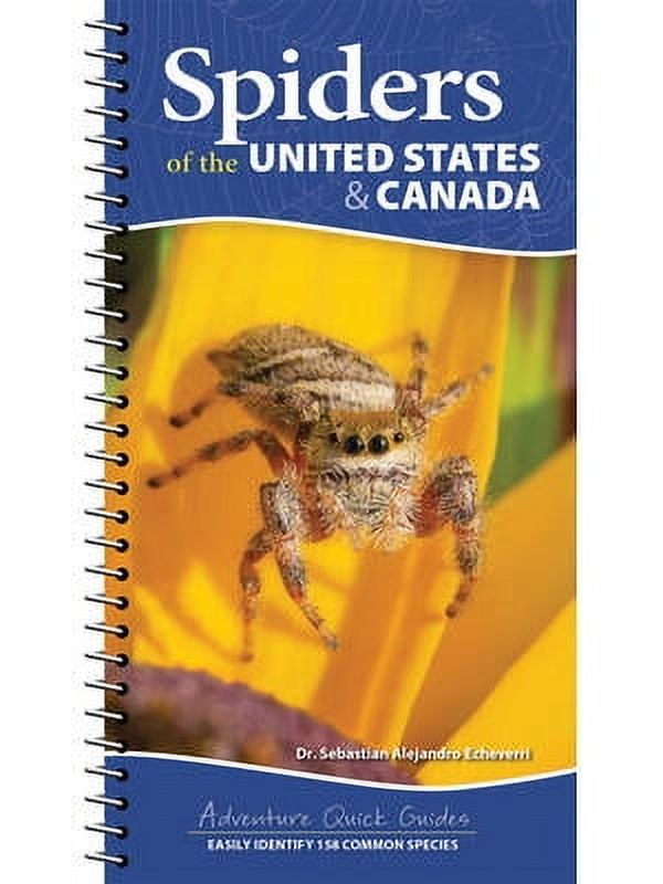 Spiders of the United States & Canada: Easily Identify 153 Common ...