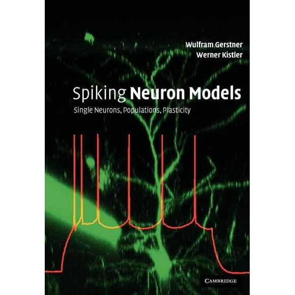 Neuron Model