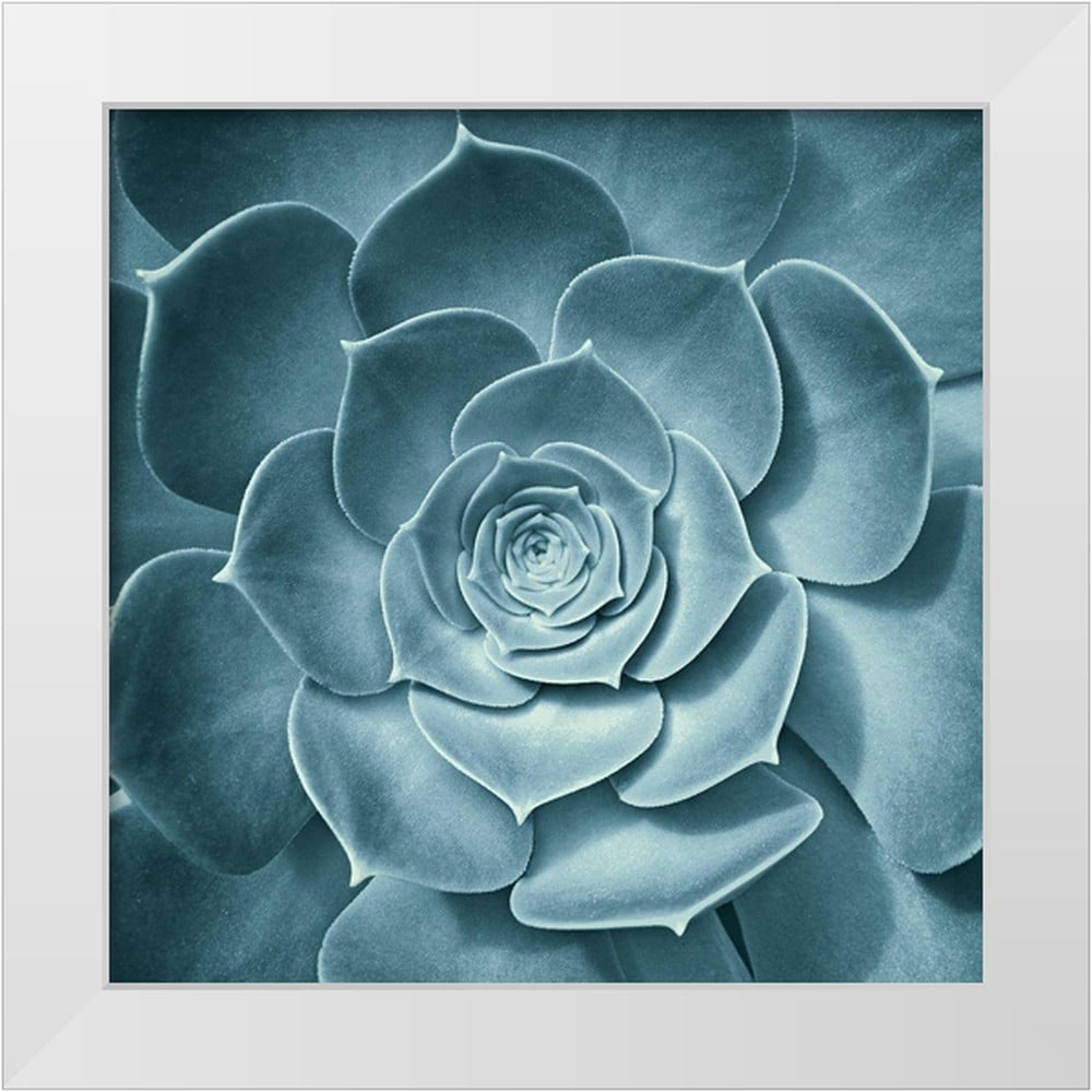 Spiler 20x20 White Modern Wood Framed Museum Art Print Titled ...