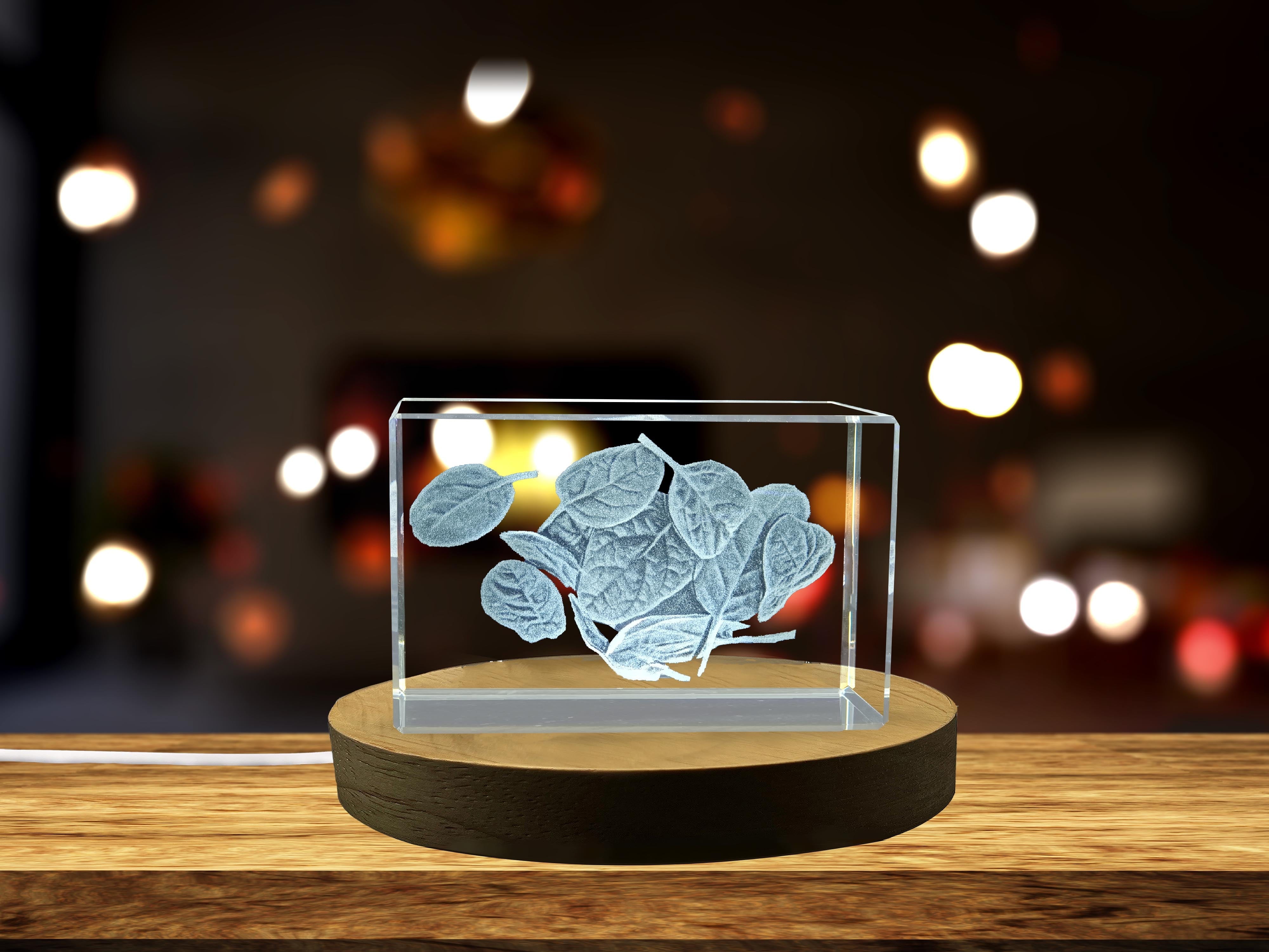 Spinach 3D Engraved Vegetable Crystal Gift - Walmart.com