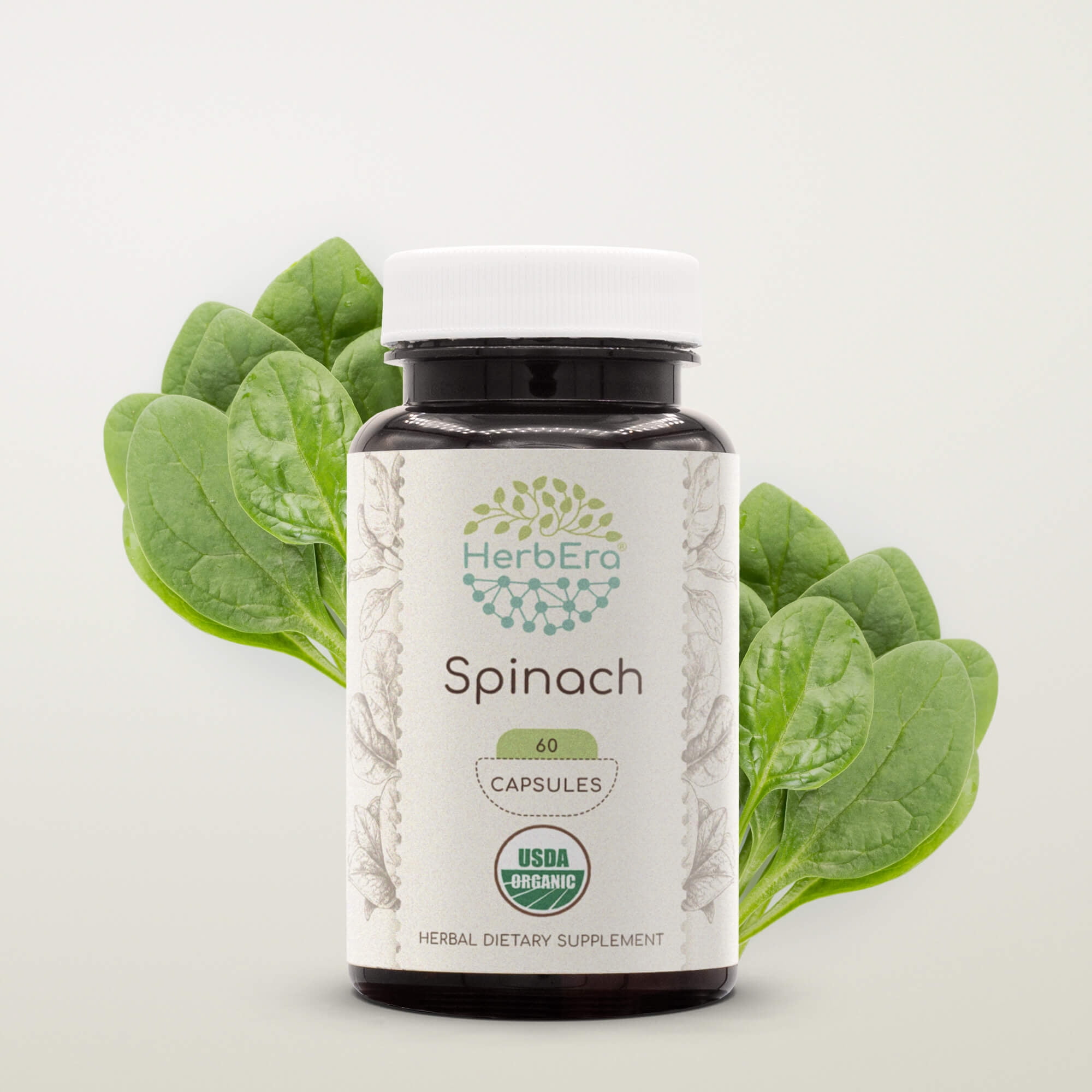 Spinach 60 Capsules, 500 mg, Organic Spinach (Spinacia oleracea) Dried ...