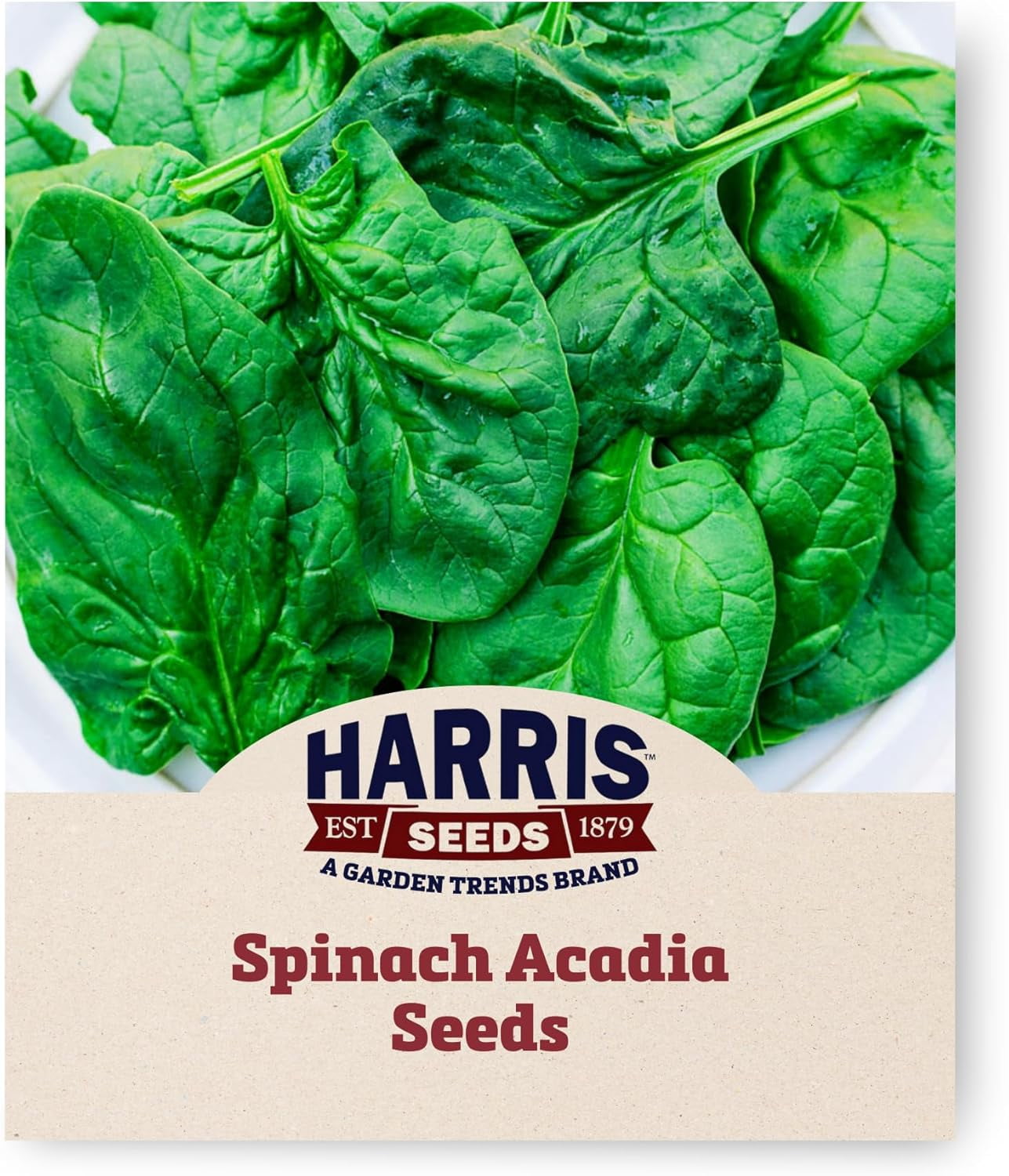 Harris Seeds - Acadia Spinach Seeds Organic Non-GMO, 1,000 Seeds ...