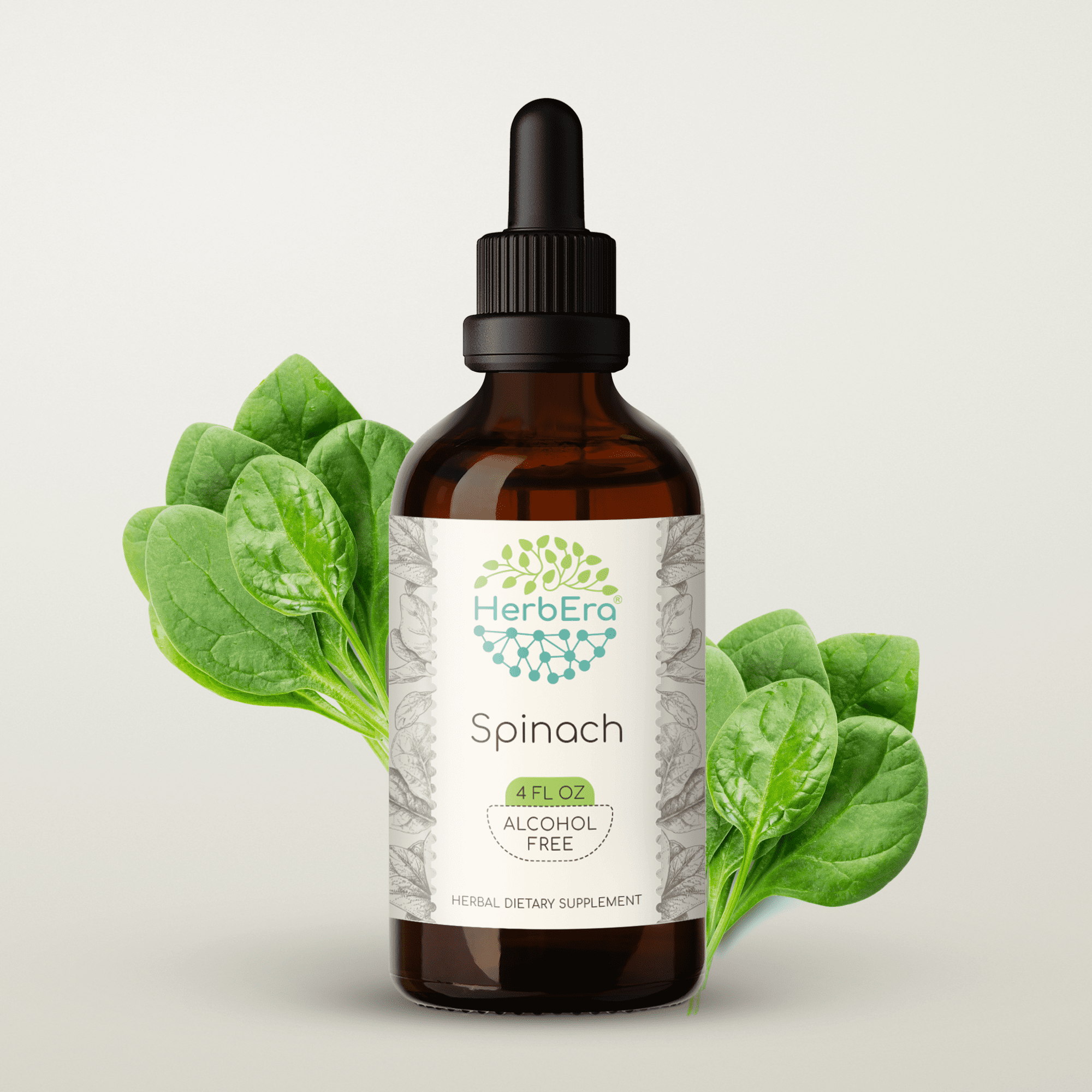 Spinach Alcohol-FREE Herbal Extract Tincture, Super-Concentrated ...