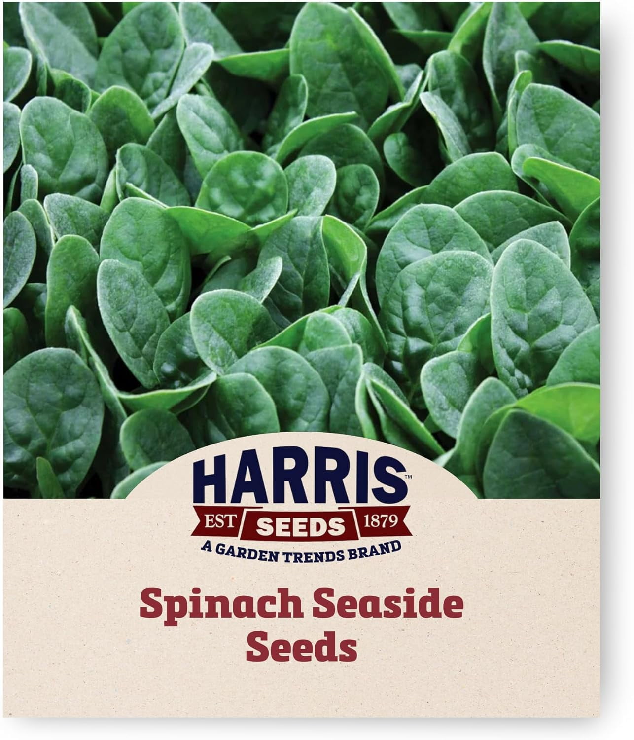 Harris Seeds - Seaside F1 Spinach Seeds Non-GMO, 250 Seeds - Walmart.com