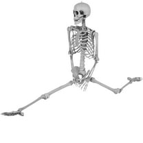 5 Foot Posable Skeleton - Large Outdoor Yard Decoration - Home Decor ...