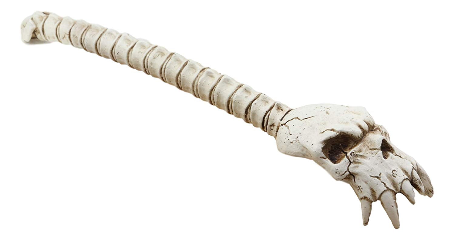 Spine Skeleton Arm Hand Back Scratcher Figurine 14"L Skeletal Bone ...