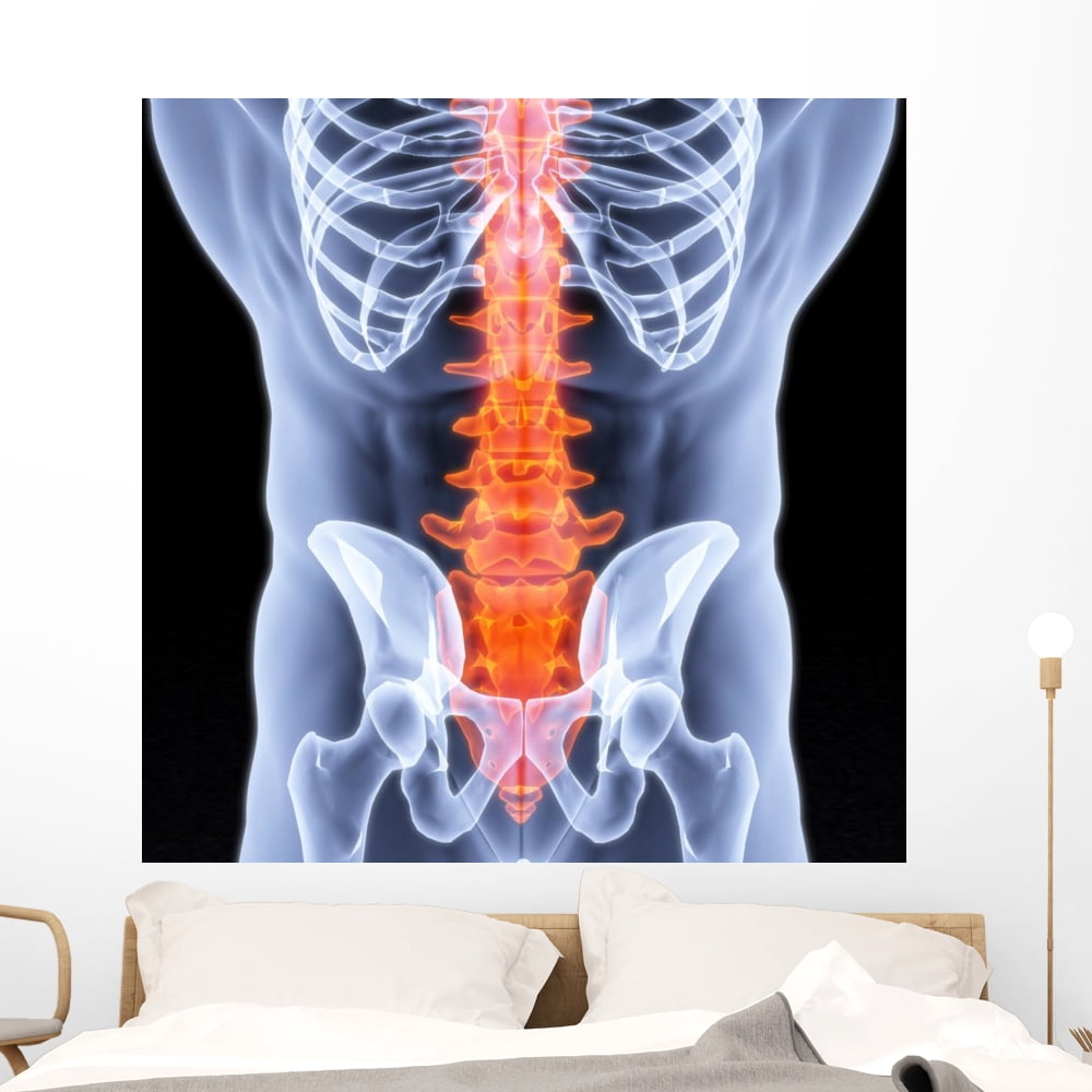 Spine Wall Mural by Wallmonkeys Peel and Stick Graphic (48 in H x 48 in ...