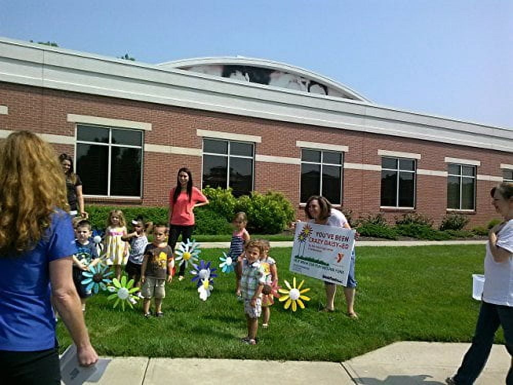 Spinning Daisies (Pack of 6) Beloit Plastics 12 inch Dia. Random Color ...