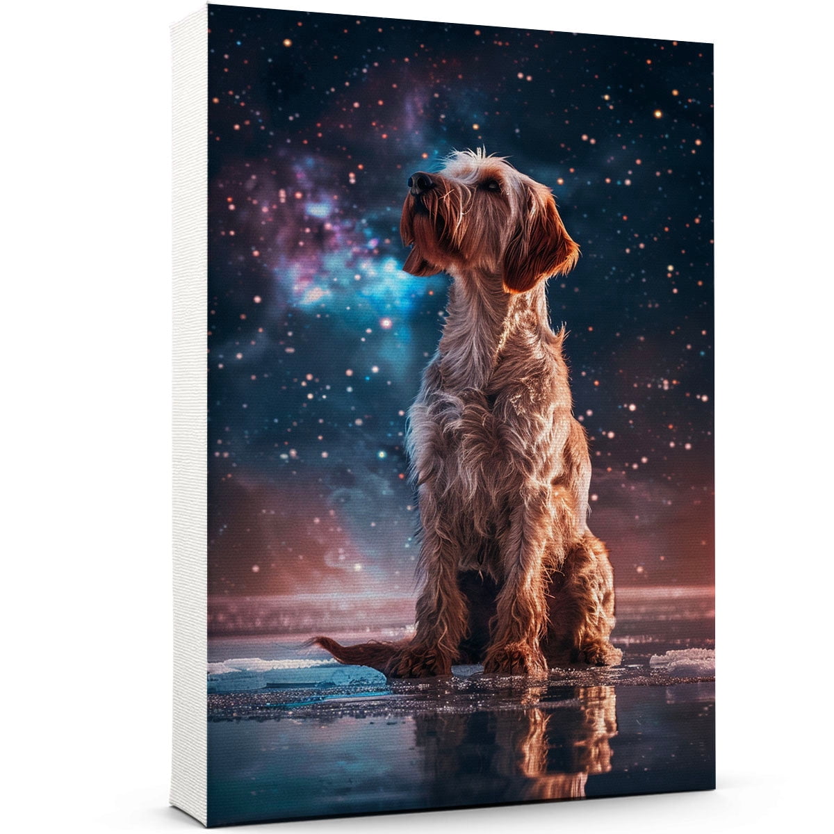 Spinone Italiano Dog Wall Art, Dog with Space Starry Night : Pet Puppy ...