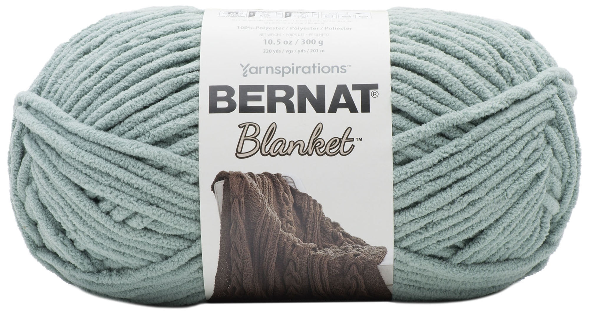 Spinrite Bernat Blanket Big Ball Yarn - Misty Green, 1 Pack of 2 Skein ...