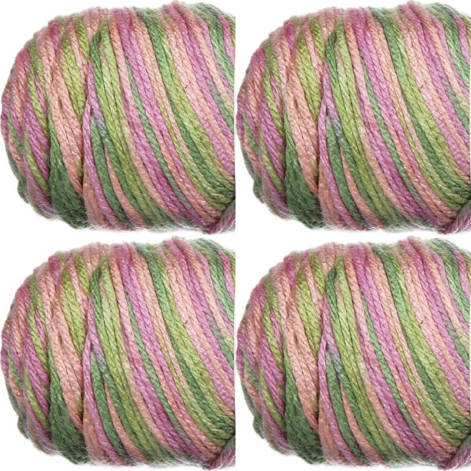 Spinrite Caron Simply Soft Paints Yarn - Rose Garden, 1 Pack of 4 Piece ...