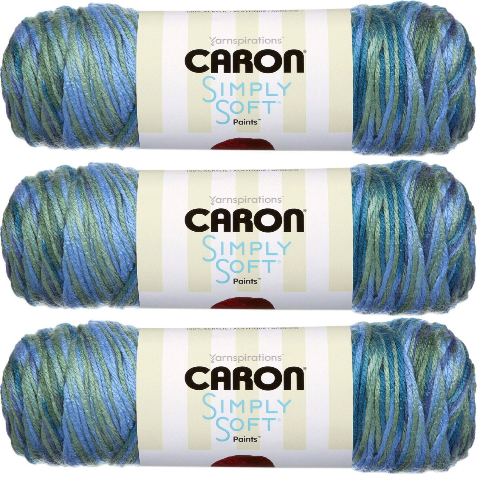 Spinrite Caron Simply Soft Paints Yarn-Spring Brook, 1 Pack of 3 Piece ...