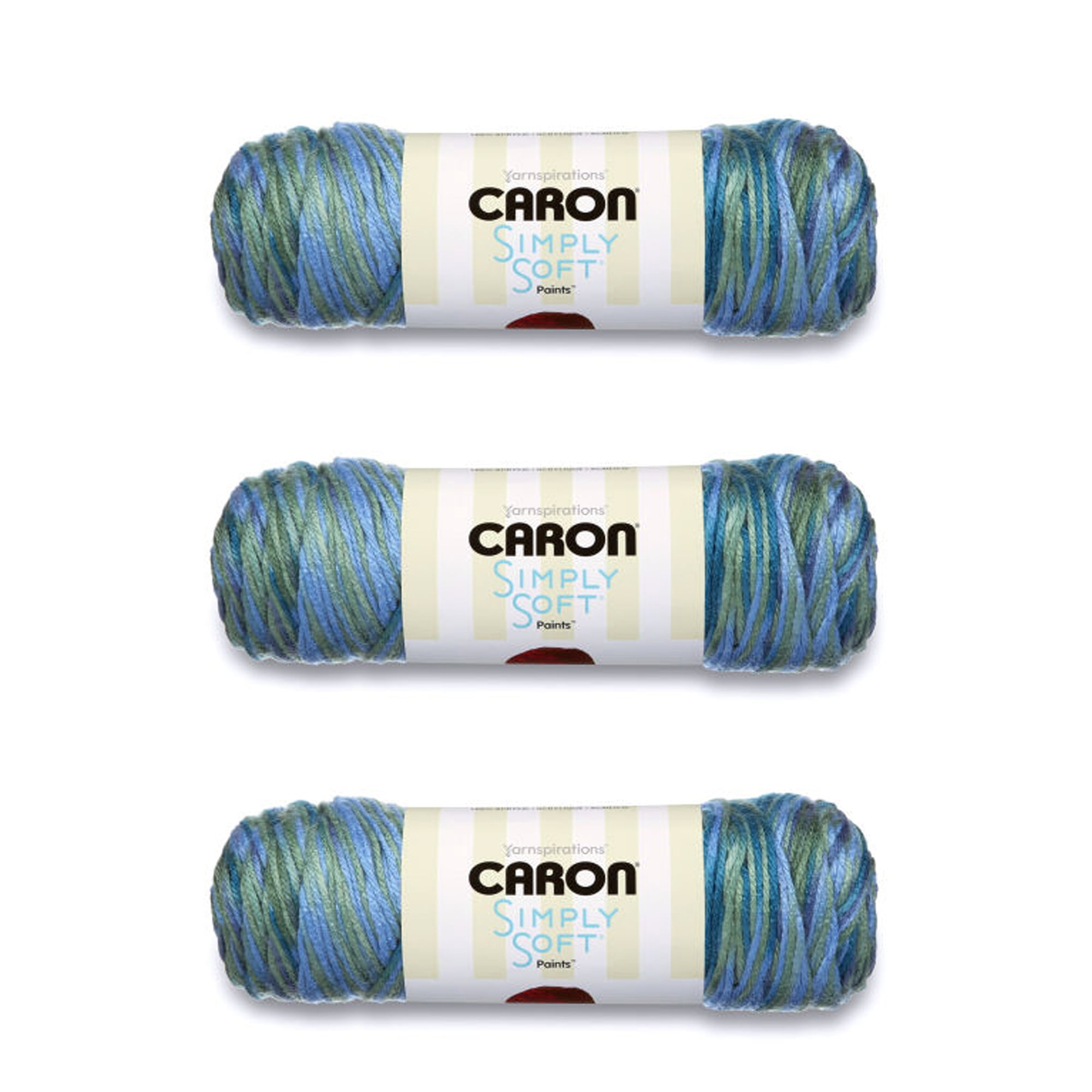 Caron Simply Soft Spring Brook Paints Yarn - 3 Pack of 141g/5oz ...