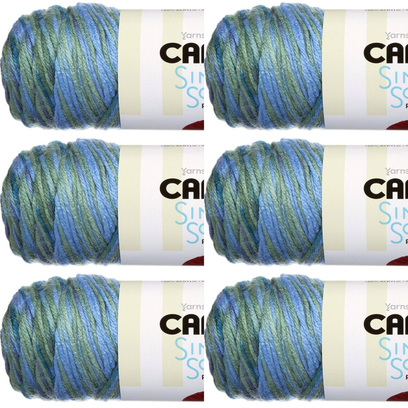 Spinrite Caron Simply Soft Paints Yarn - Spring Brook, 1 Pack of 6 ...