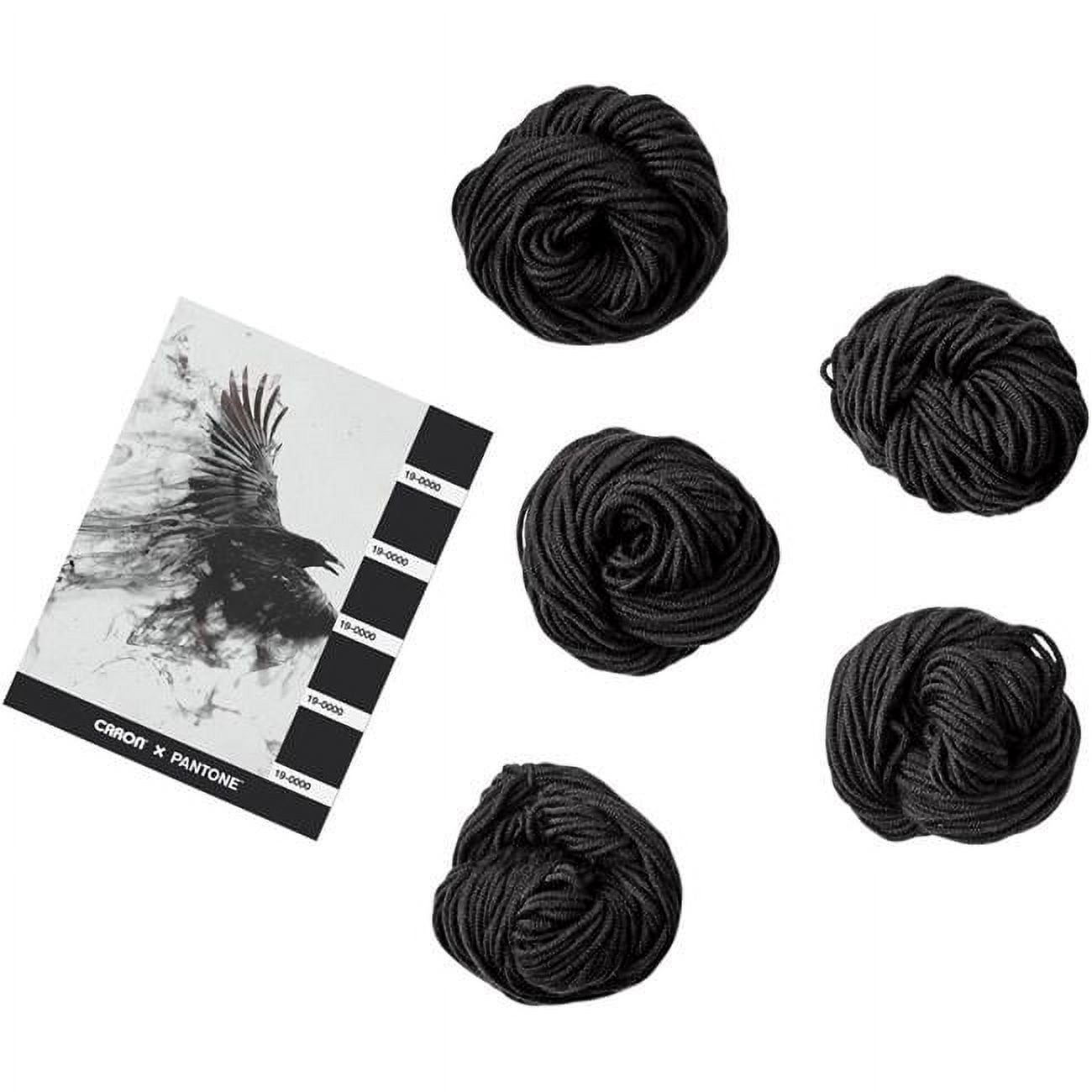 Spinrite Raven Walmart