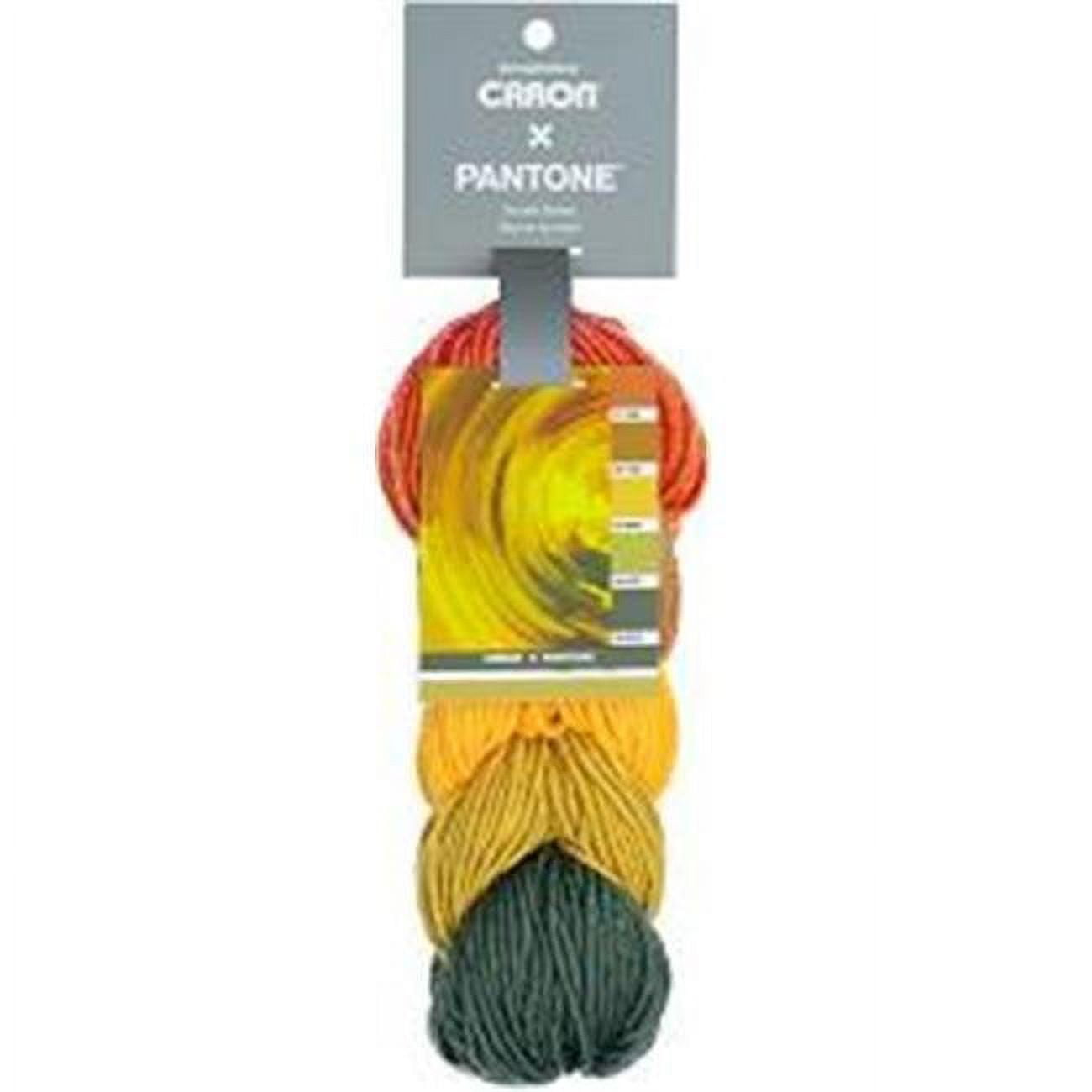 Spinrite 291101-01042 Sunset Yarn X Pantone - Walmart.com