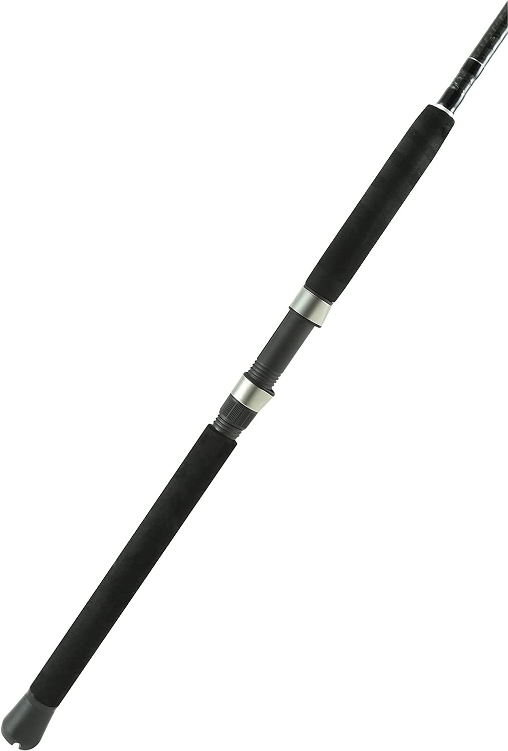 Spiral Carbon Technology Albacore Saltwater Rods - Walmart.com