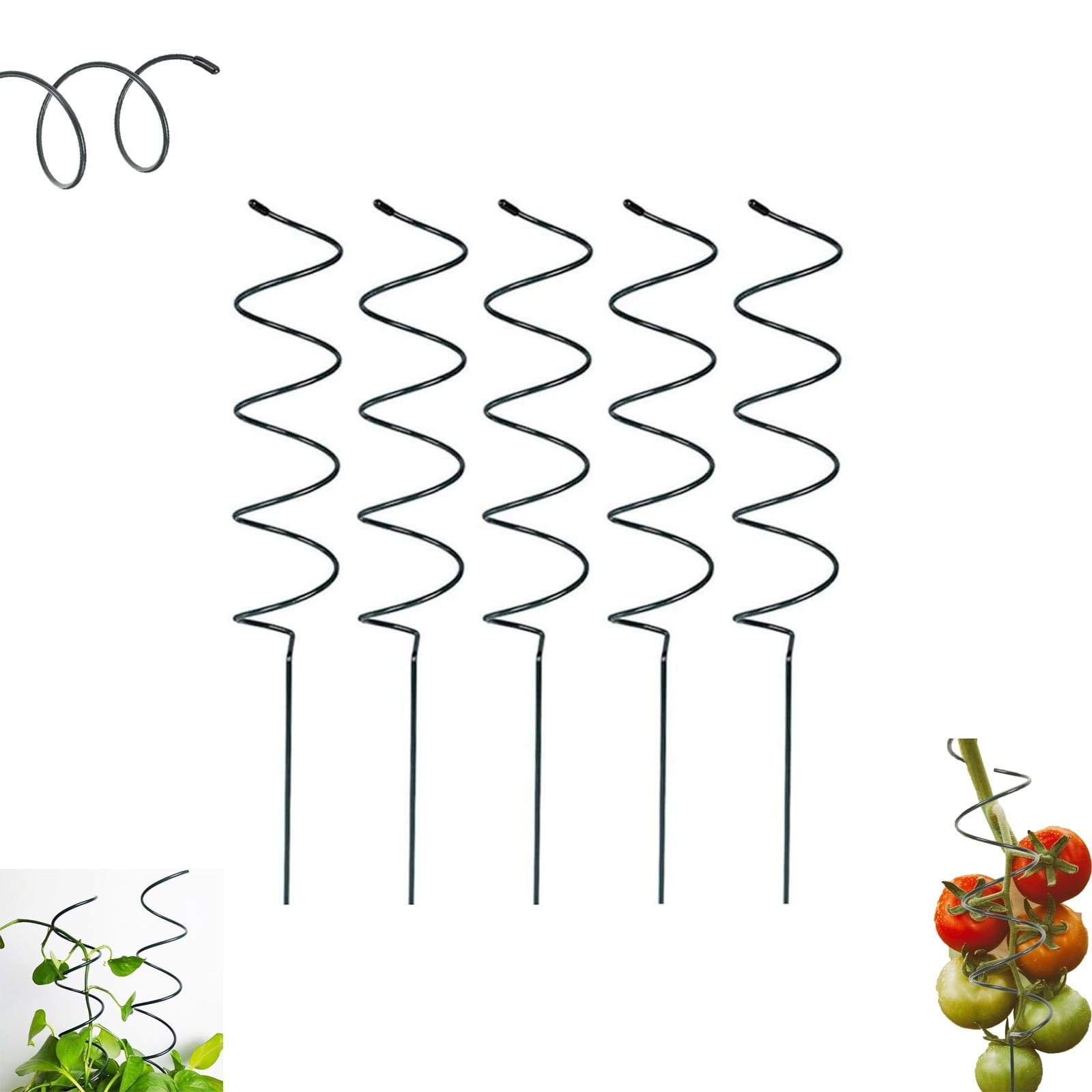 Spiral Metal Plant Supports Rustproof Garden Flower Cages for Tomatoes ...