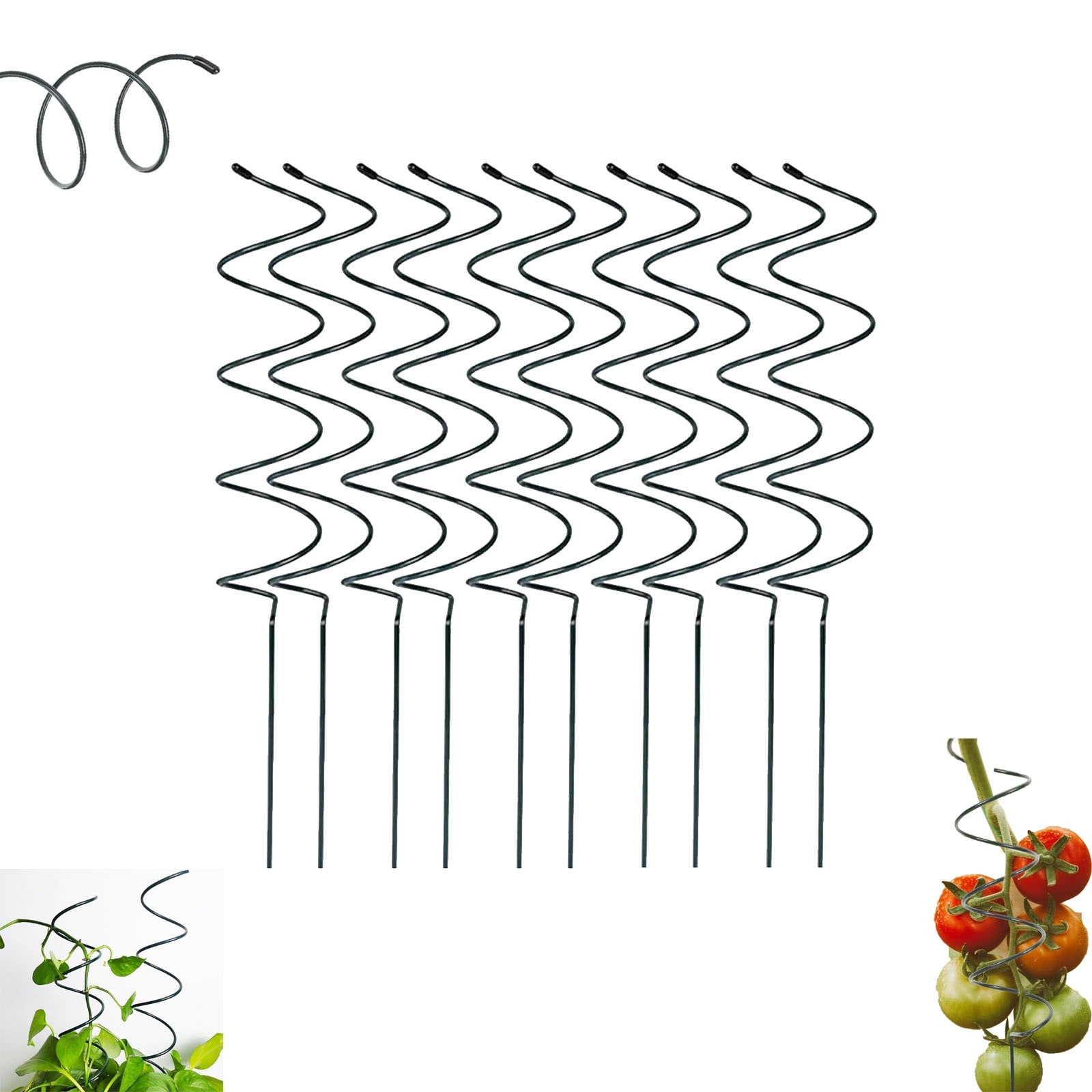 Spiral Metal Plant Supports Rustproof Garden Flower Cages for Tomatoes ...