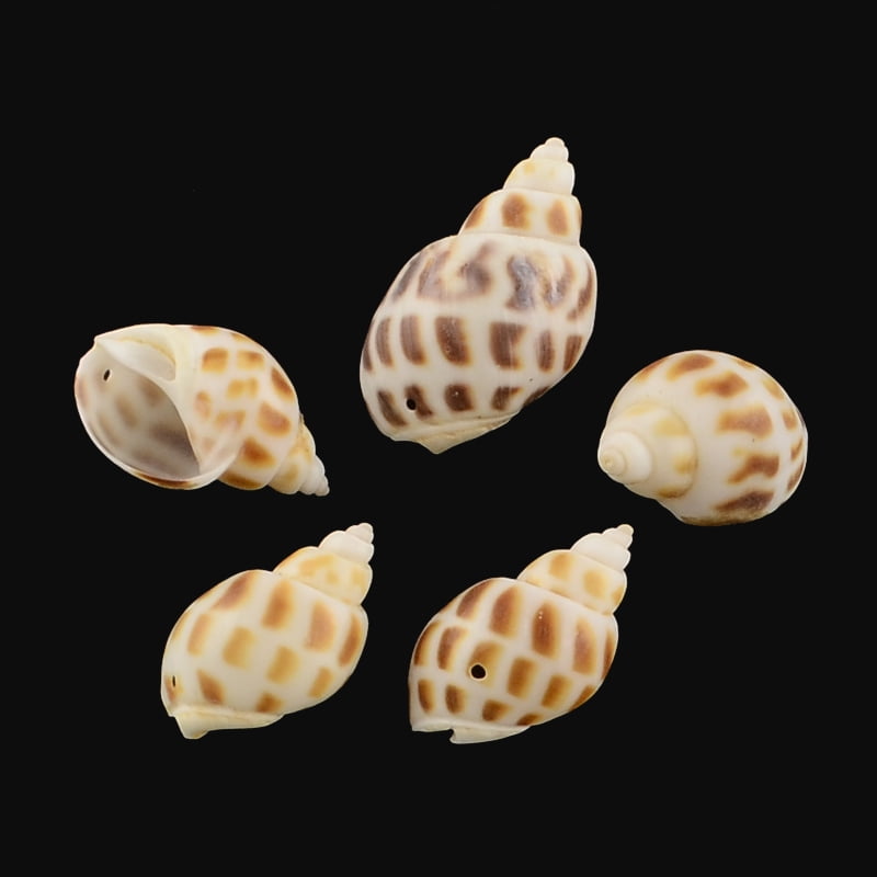 Spiral Shell Pendants Sienna 28~38x18~24x16~21mm Hole: 1mm 120~183pcs ...