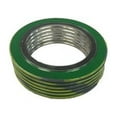Spiral Wound Gasket with Flexible Graphite Filler, for 1" Pipe ...