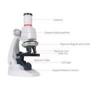 AmScope 40X-1000X Biological Science Student Compound Microscope ...