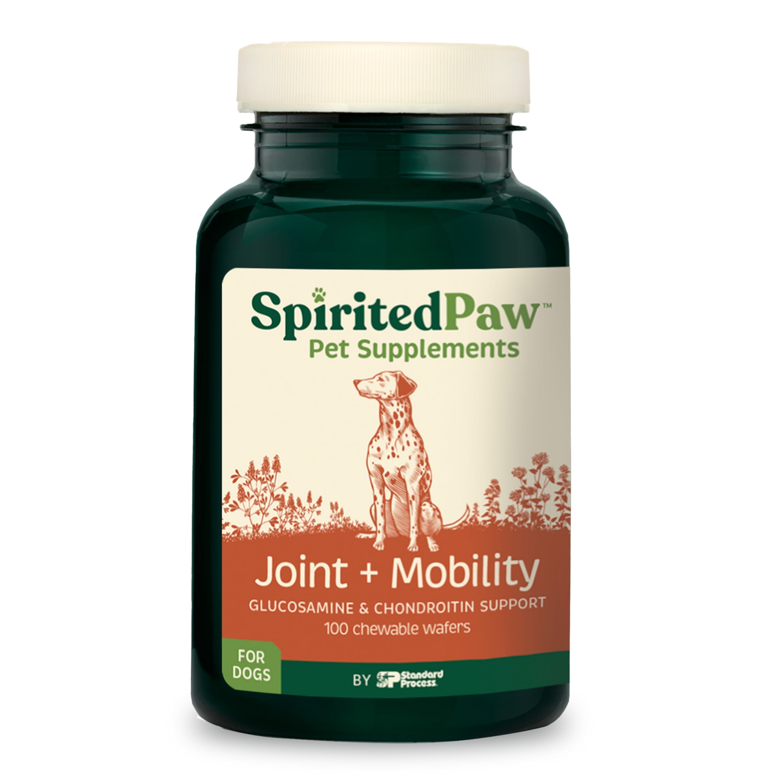 Spirited Paw Joint and Mobility for Dogs - Joint Support Supplement for ...