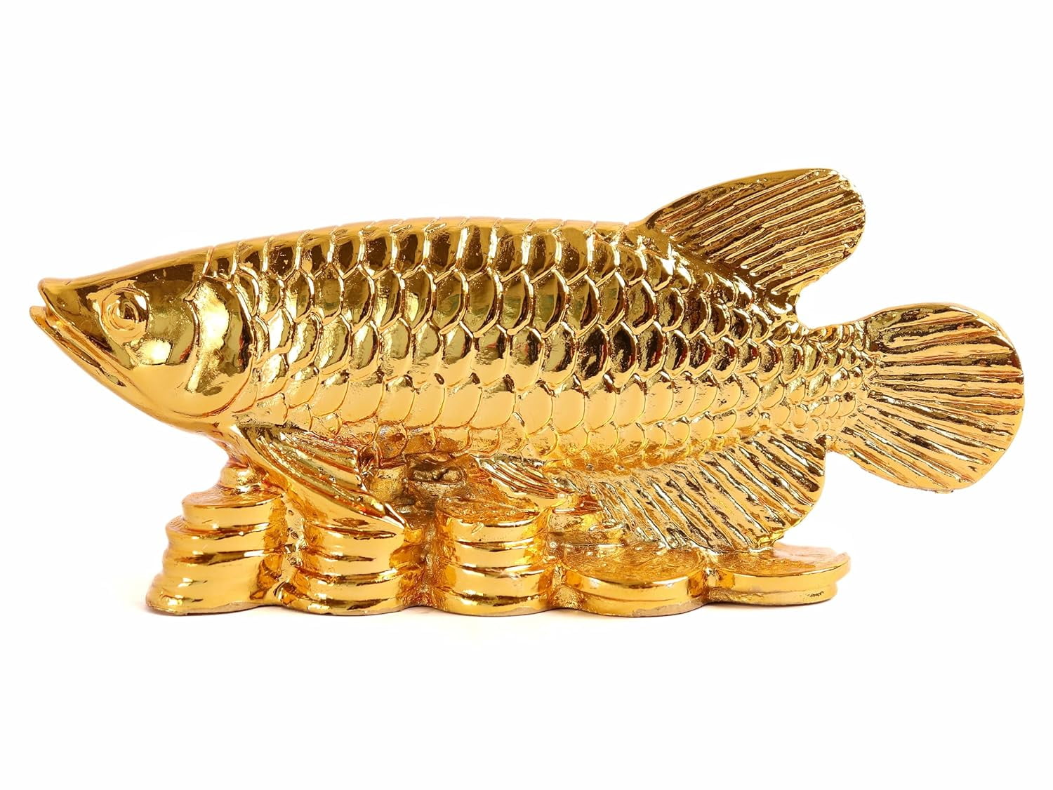 The Spiritual Living Arowana Fish Statue II Feng Shui Fish II Strong ...
