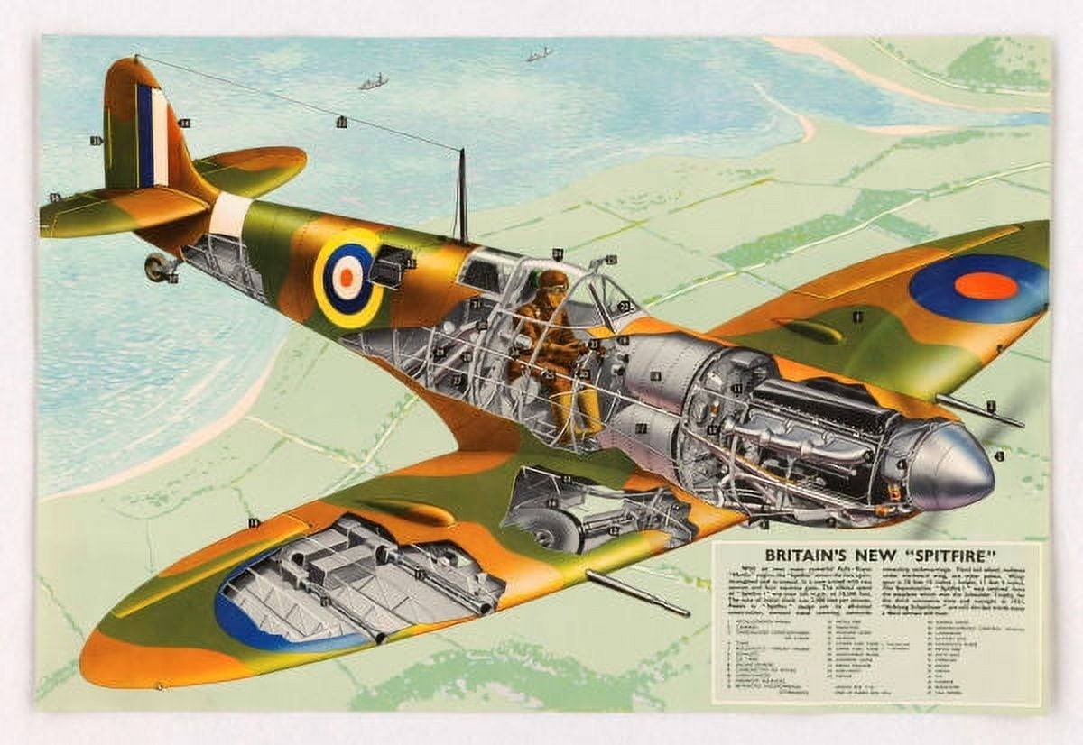 Spitfire Cutaway Aviation Diagram Poster 24in x 36in Art Poster 24x36 ...