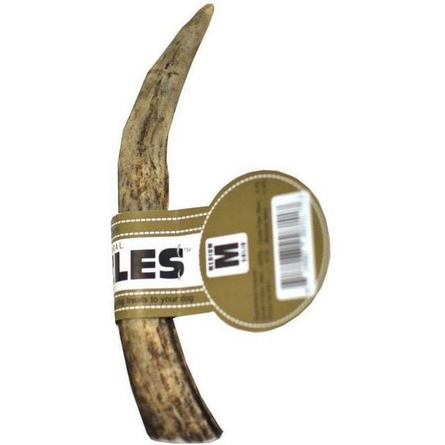 Spizzles Elk Antler Dog Chew, Solid, Medium - Walmart.com
