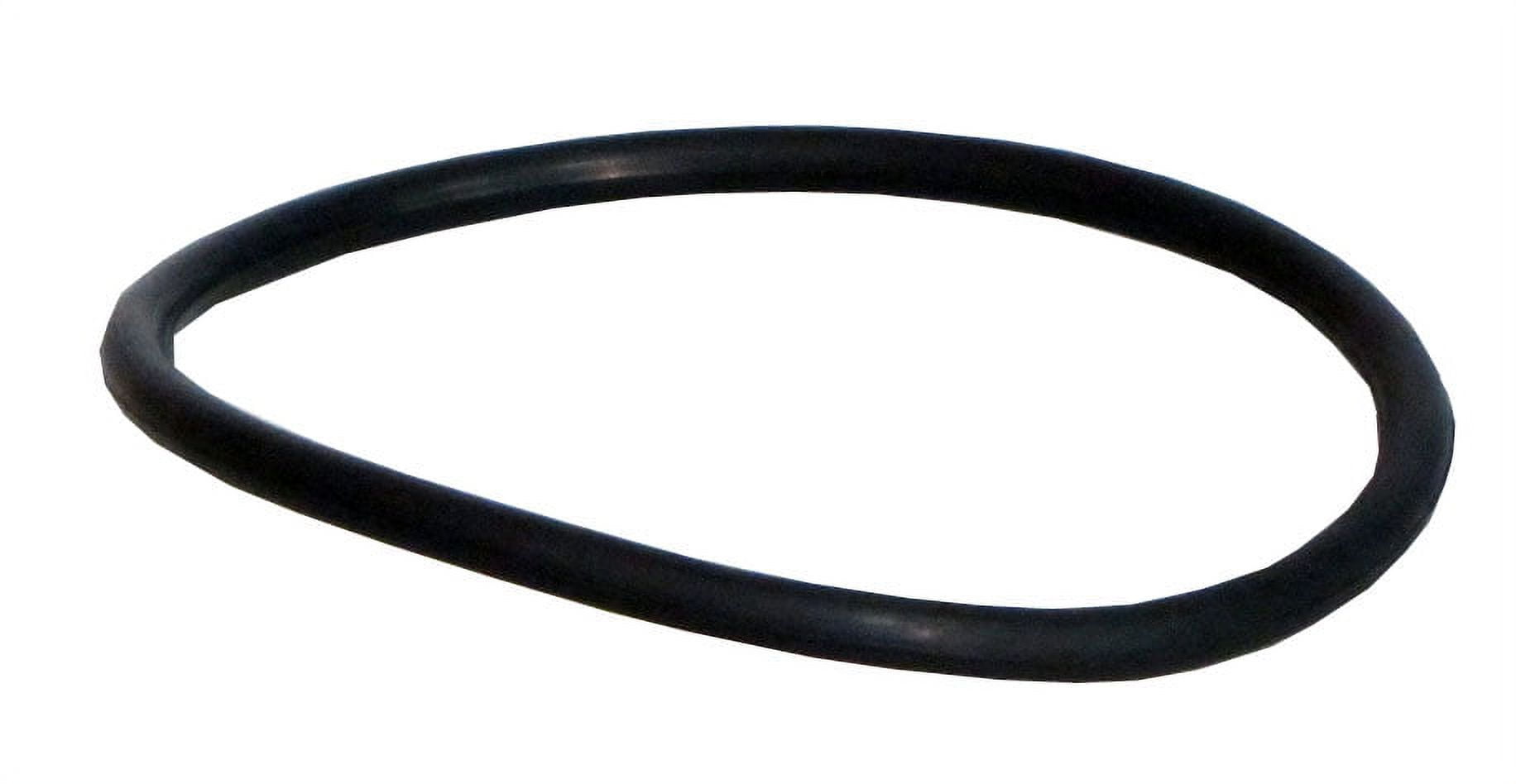 Splapool Rubber, Black, Plumbing O-Rings & Seals - Walmart.com