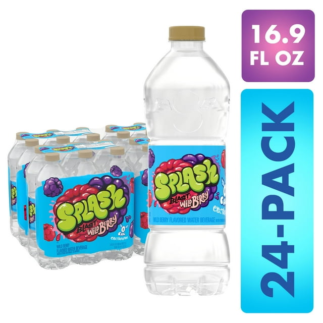 Splash Blast, Wild Berry Flavor Water Beverage, 16.9 FL OZ Plastic ...