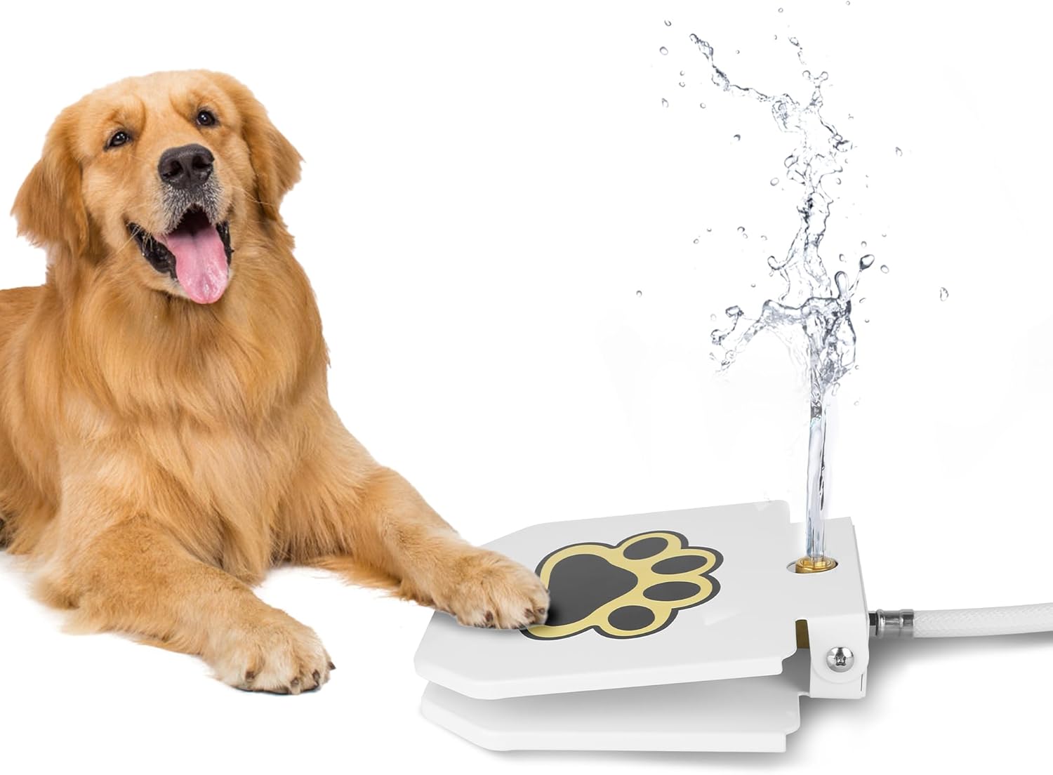 Splash Pedal Dog Water Fountain – Heavy Duty Paw-Activated Outdoor Pet ...