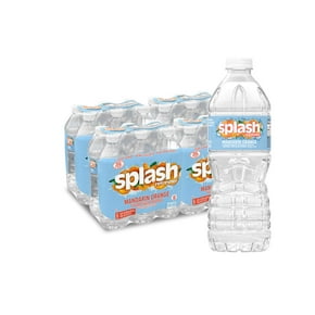 24 Bottle Case Water
