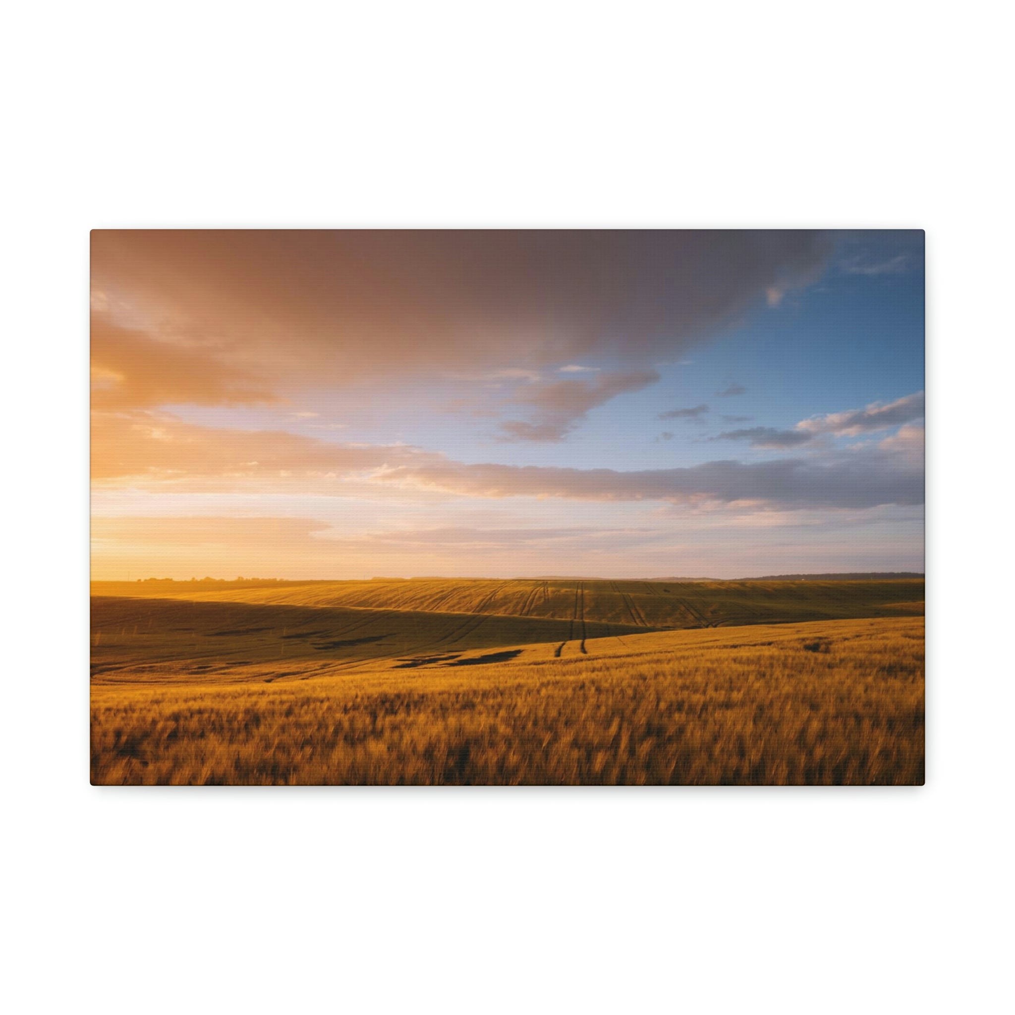 Splendid Agricultural Land in the Evening Scene Beautiful Captivating ...