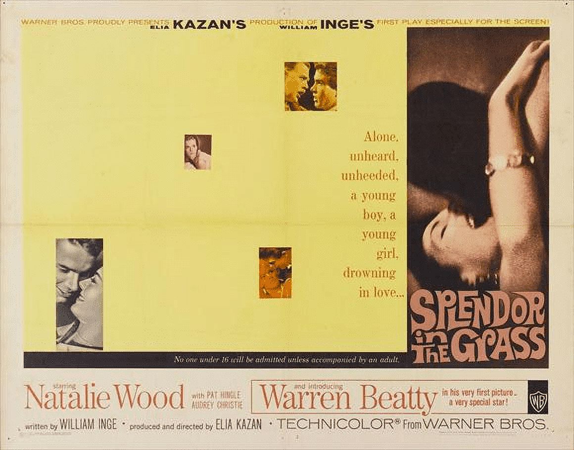 Splendor in the Grass - movie POSTER (Style B) (11" x 17") (1961 ...