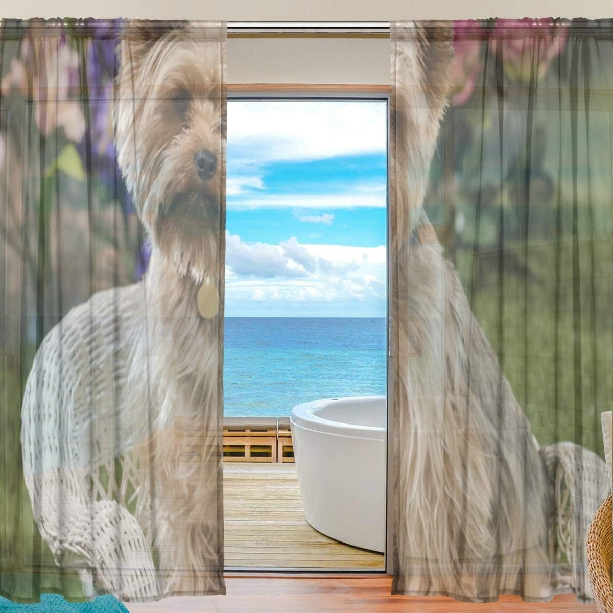 Splicing Pattern Yorkie Dog Sits in Wicker Chair Semi Sheer Curtains ...