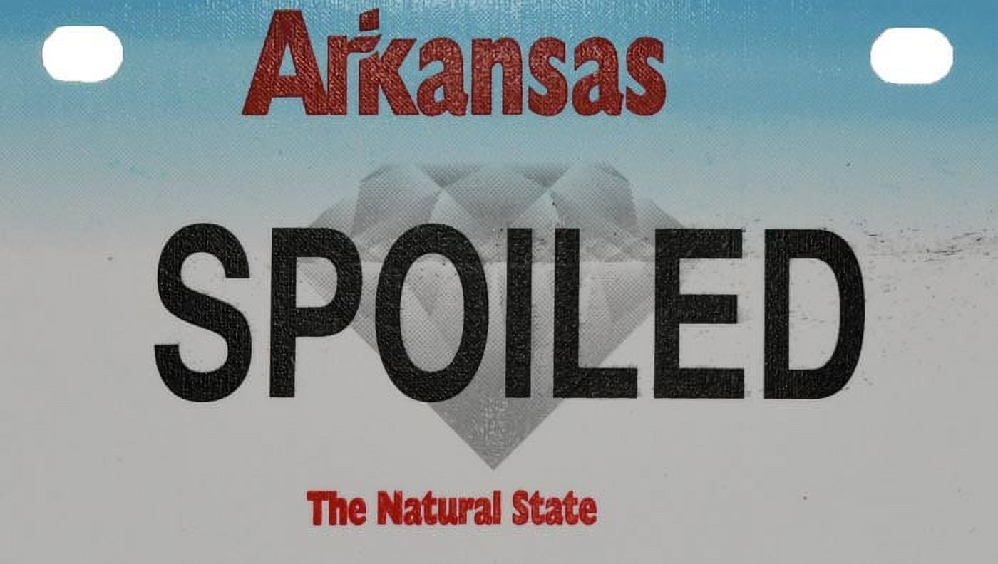 Spoiled Mini Bike License Plate Add On Accessory for Motorcycle ...