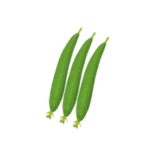 Sponge Gourd Seeds – Chamak for Planting - 15 Seeds - Walmart.com