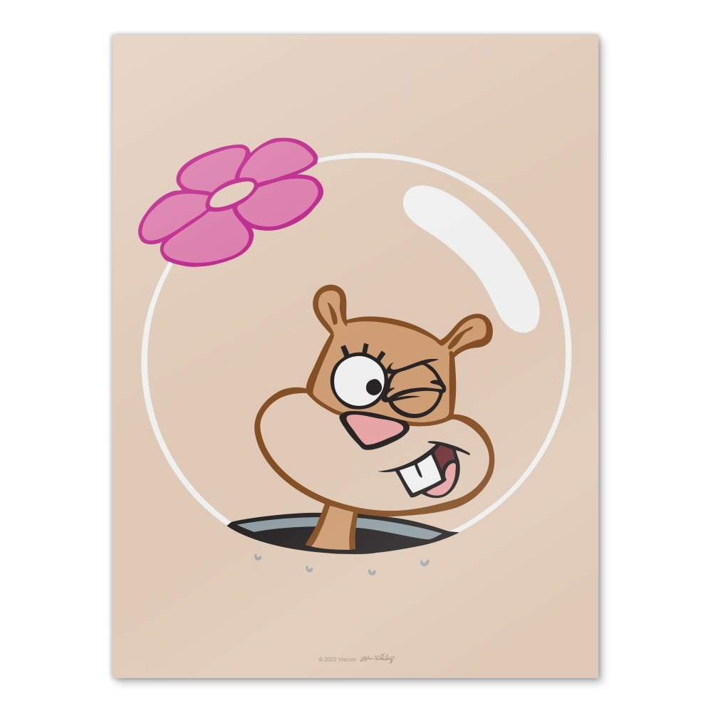 SpongeBob Sandy Wink Face Wall Art Picture Paper Poster Décor Home ...