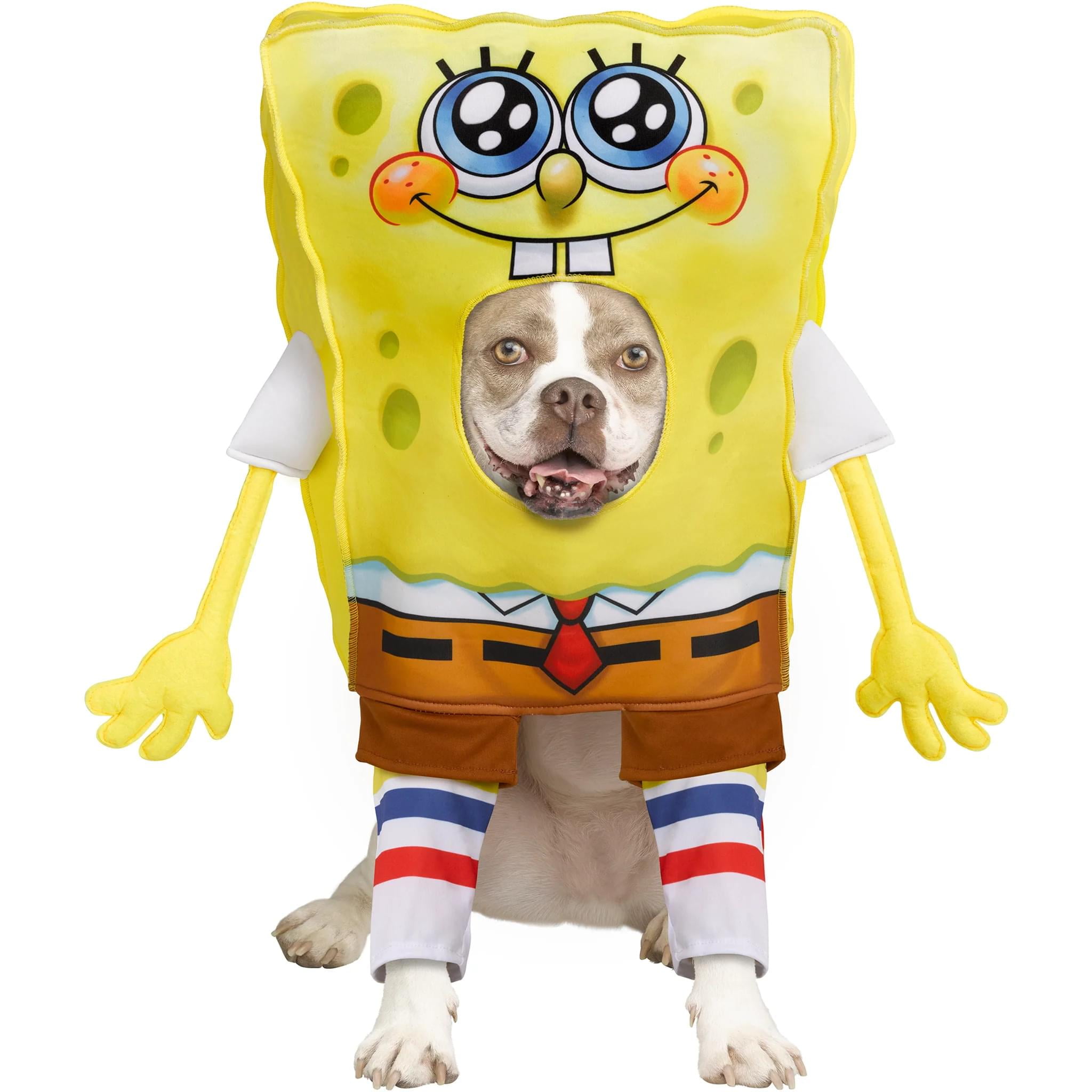 Spongebob - Pet - Dog Costume - Large - Walmart.com