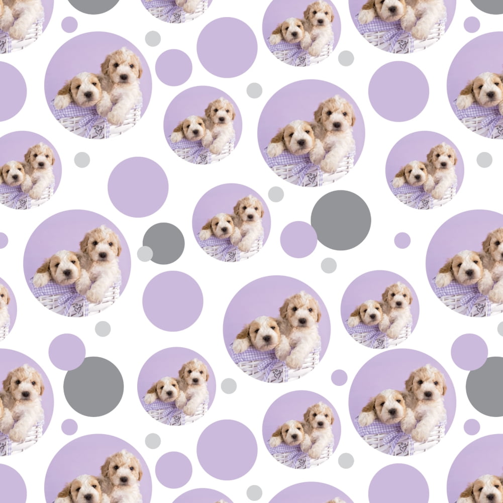 Spoodle Cockapoo Puppies Dogs Wicker Basket Premium Gift Wrap Wrapping ...
