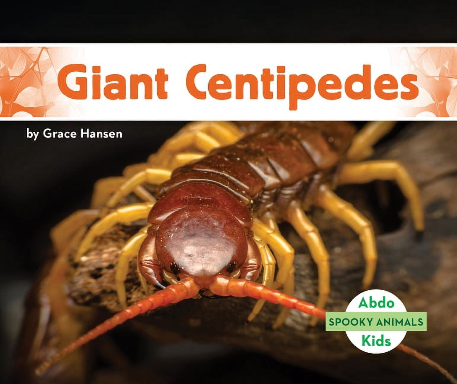 Spooky Animals Giant Centipedes, (Hardcover) - Walmart.com